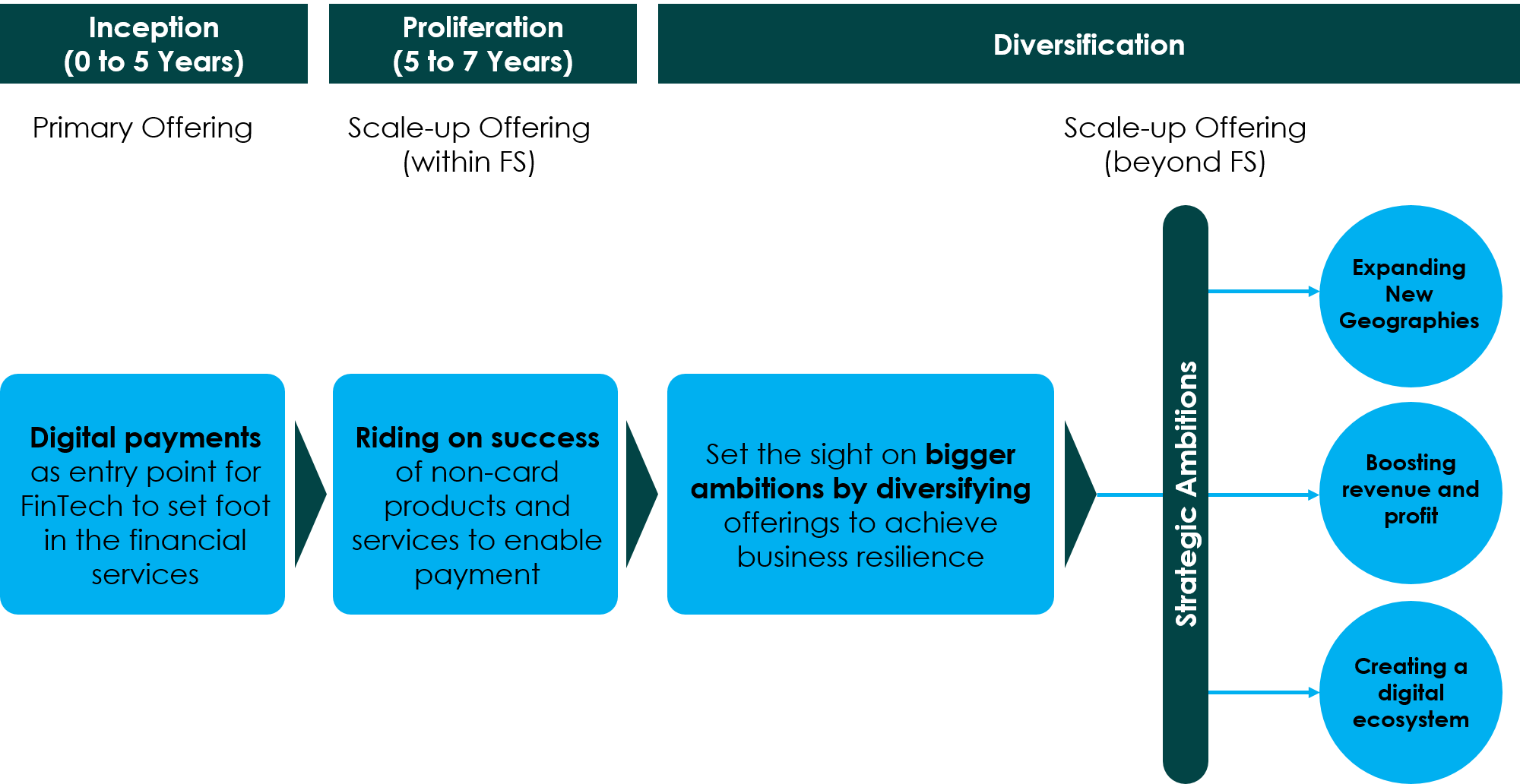 PayTechs: Strategic Diversification to Get an Edge over Incumbents ...